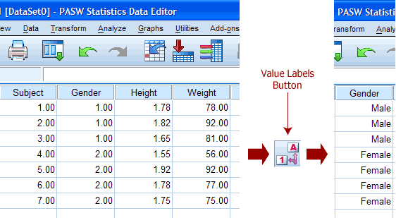 Entering Data in SPSS Statistics | Laerd Statistics
